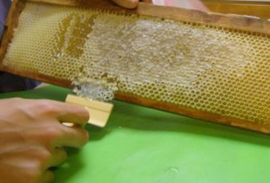 Propolis Benefits Inside and Outside the Hive - Backyard Beekeeping